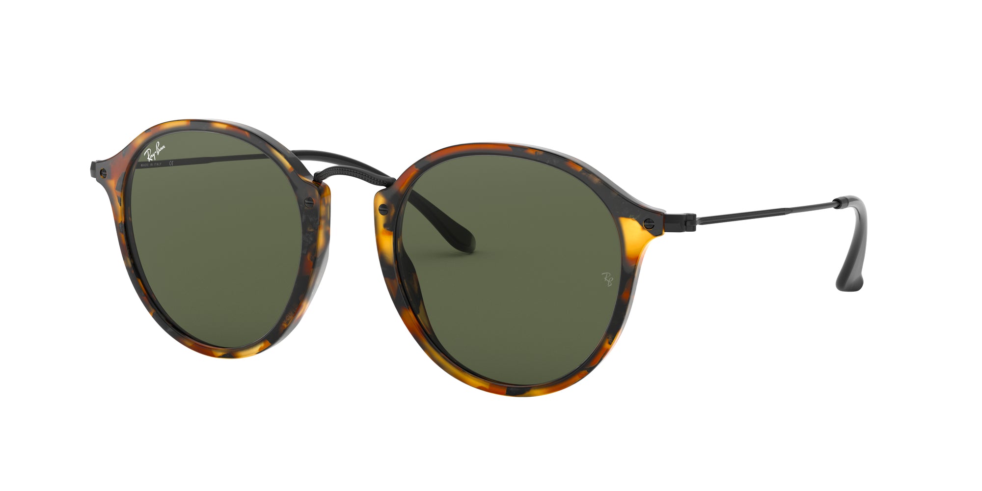 Ray-Ban Round Fleck RB2447 | Eyeglasses123.com